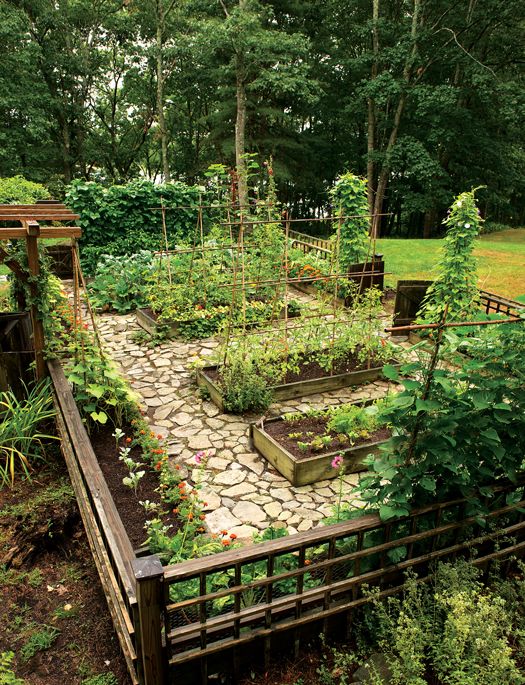 Creating a Kitchen Garden from an Overgrown Lot: Our Plans - Newbury Home