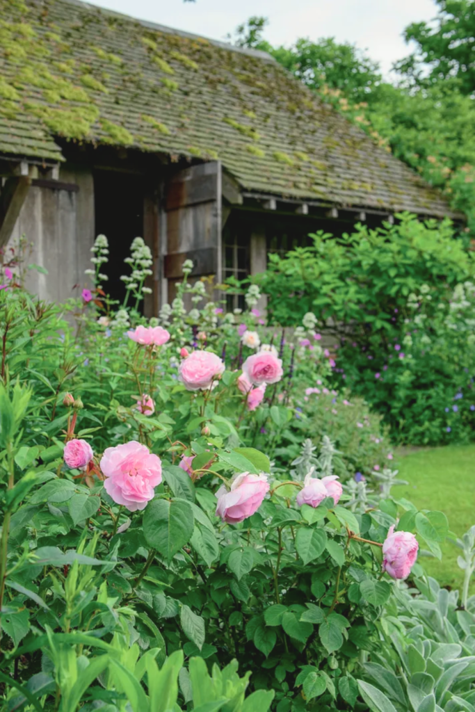 How to Create an English Cottage Garden - Tips + Inspiration - Newbury Home
