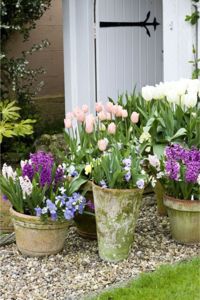 Elegant Spring Decor Ideas That Will Spruce Up Your Yard - Newbury Home
