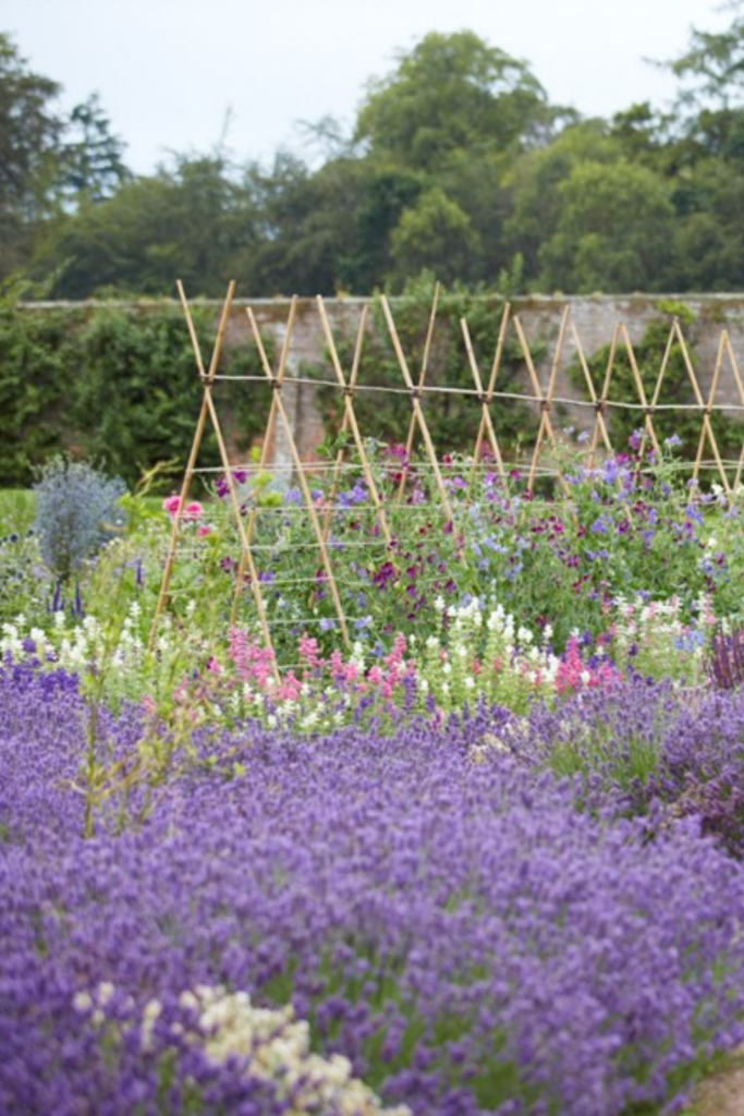 How to Incorporate Plant Support in Your Garden - 9 Clever Ideas ...