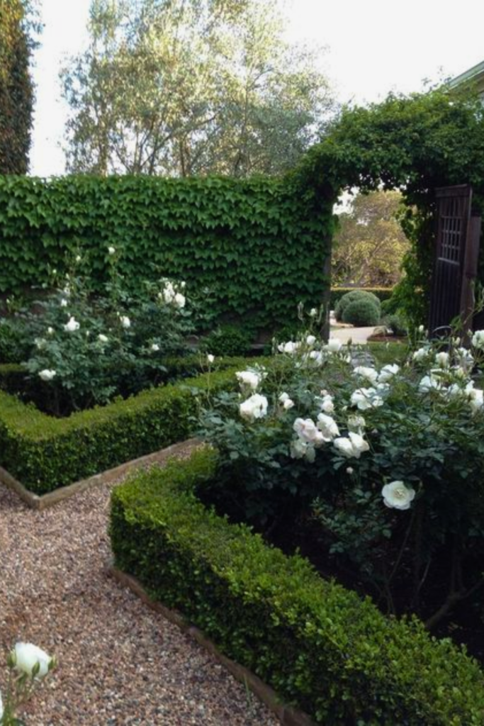 Easy Ways to Create a Privacy Screen for Your Garden - Newbury Home
