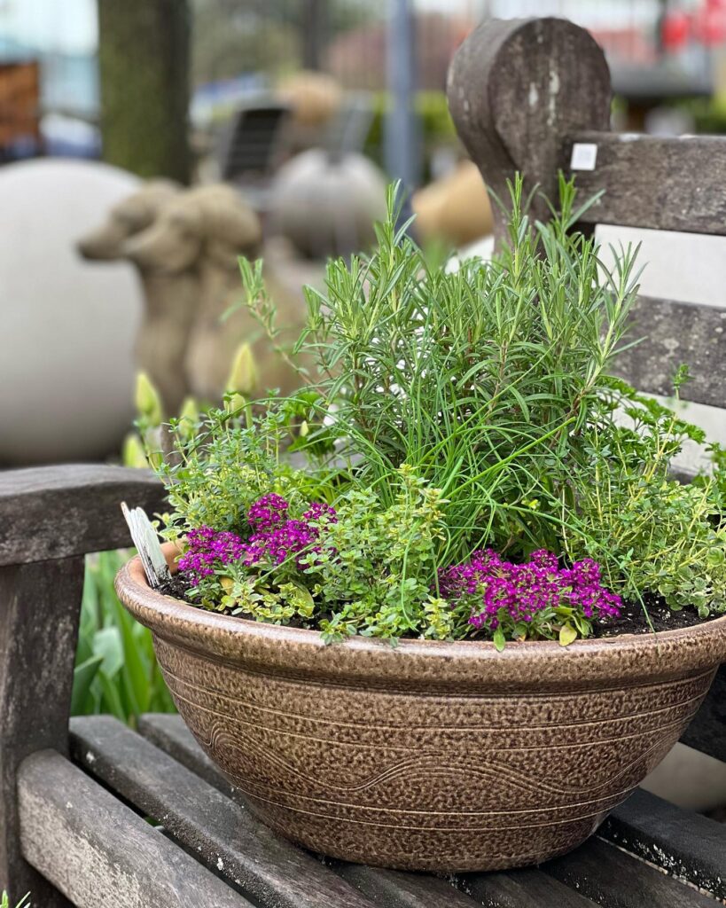 Container Herb Garden Ideas: Easy & Beautiful Ways to Grow Your Own ...