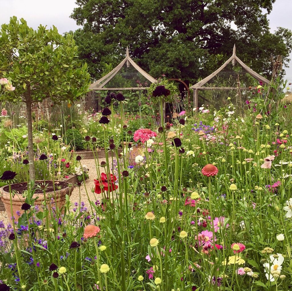 How to Create a Beautiful Cut Flower Garden [Beginner's Guide ...