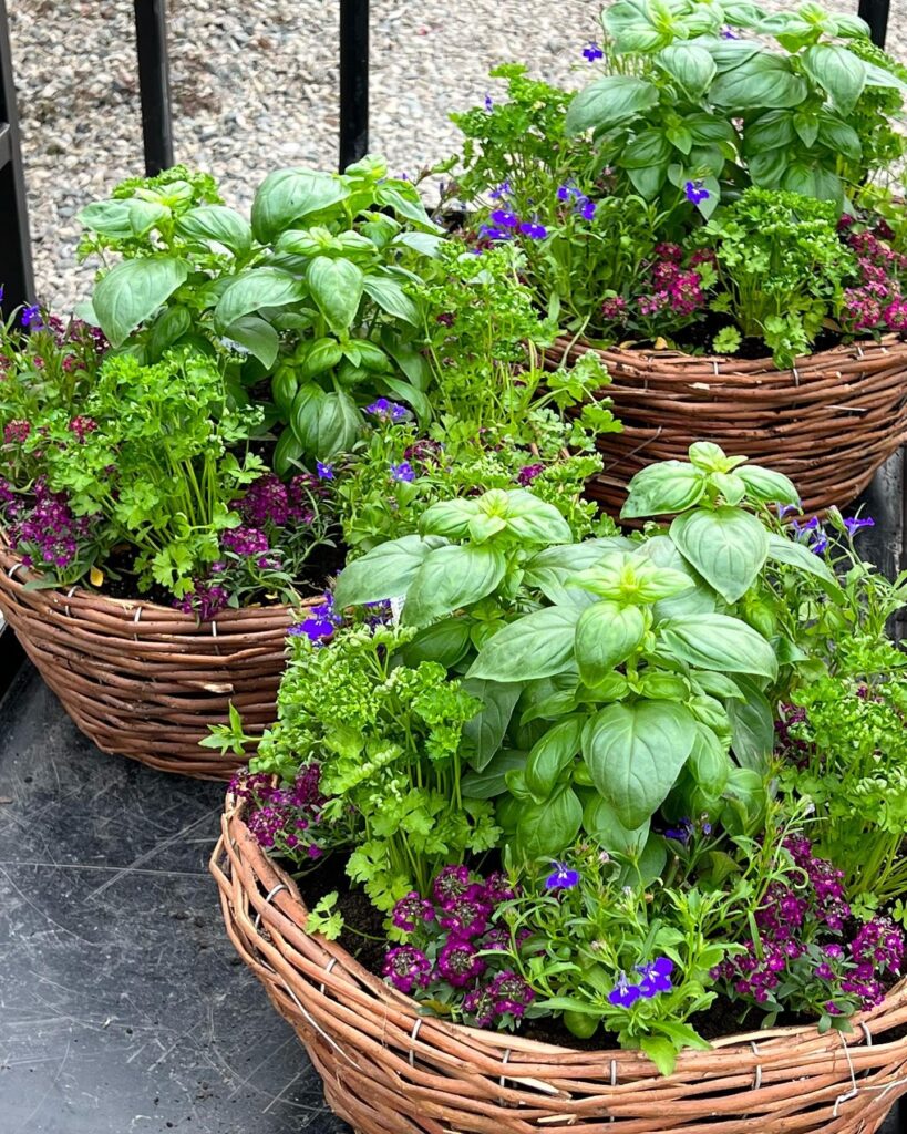 Container Herb Garden Ideas: Easy & Beautiful Ways to Grow Your Own ...