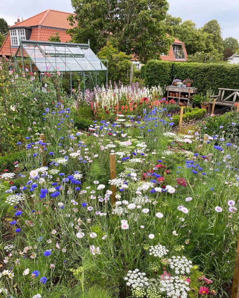 How to Create a Beautiful Cut Flower Garden [Beginner's Guide ...