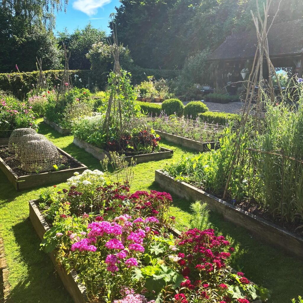 How to Create a Beautiful Cut Flower Garden [Beginner's Guide ...