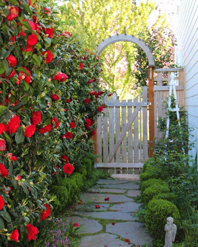 7 Spring Flowering Shrubs That Will Look Beautiful in Your Garden ...