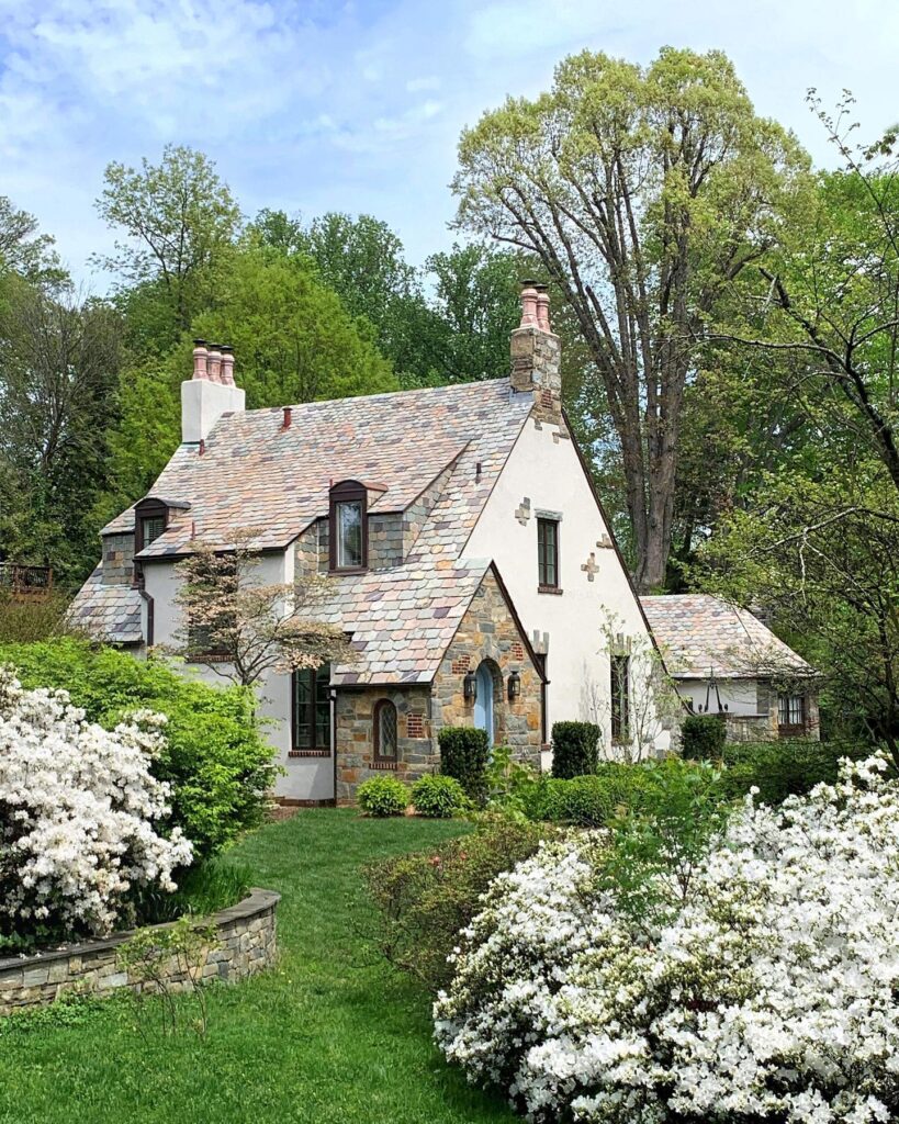 7 Spring Flowering Shrubs That Will Look Beautiful in Your Garden ...