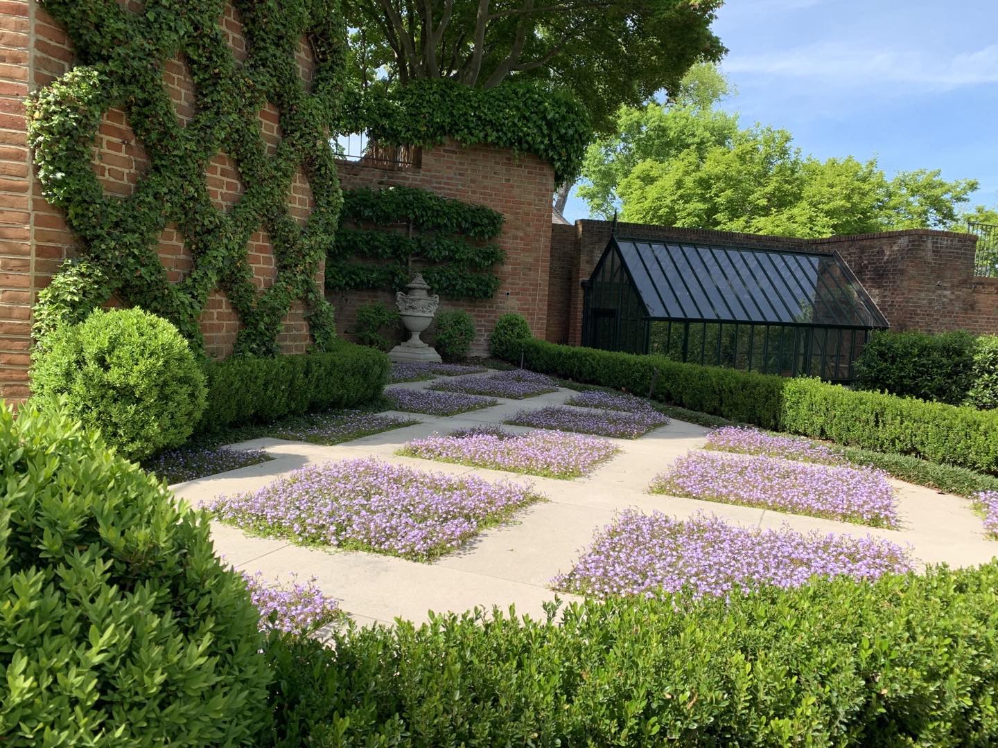 The Best Ground Covers for Your Garden - Newbury Home