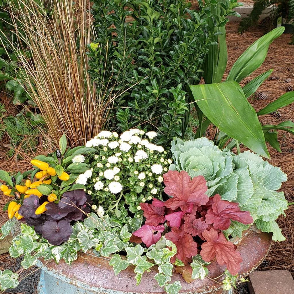 Fall Container Garden Guide - The Best Tips and Ideas - Newbury Home