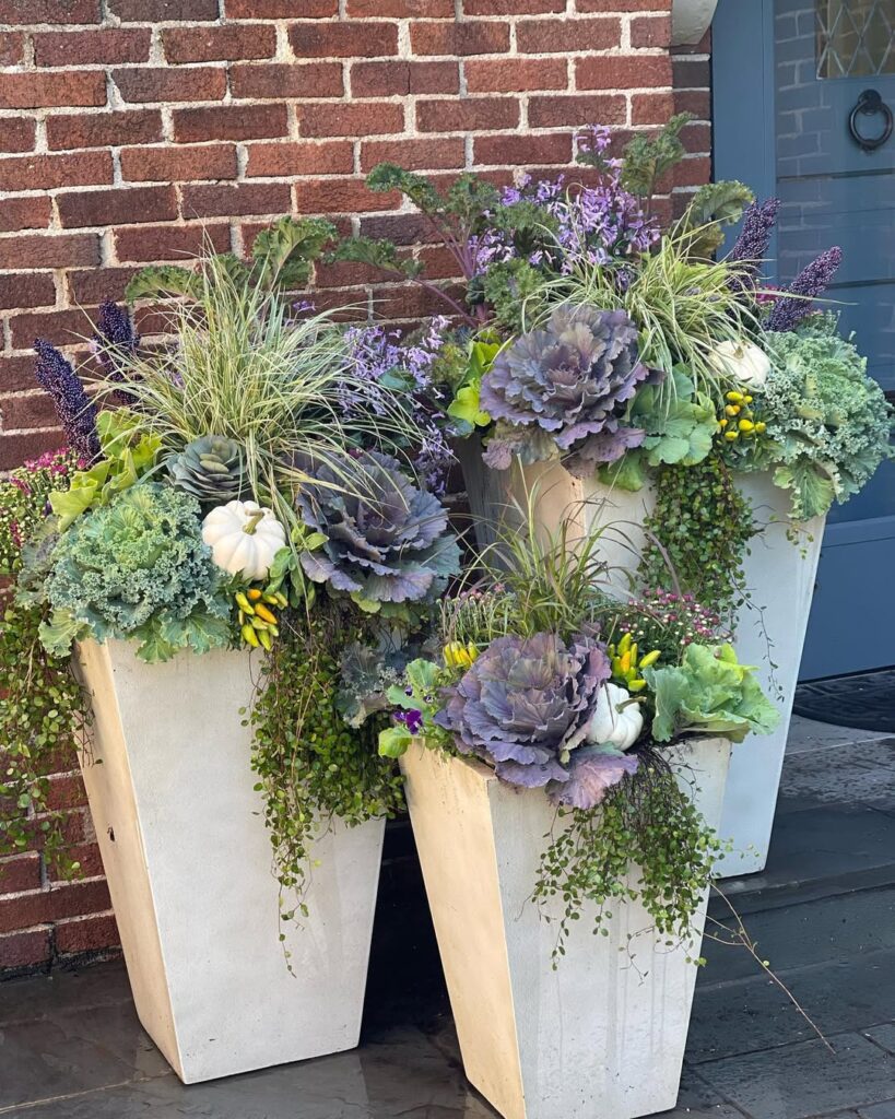 Fall Container Garden Guide - The Best Tips and Ideas - Newbury Home