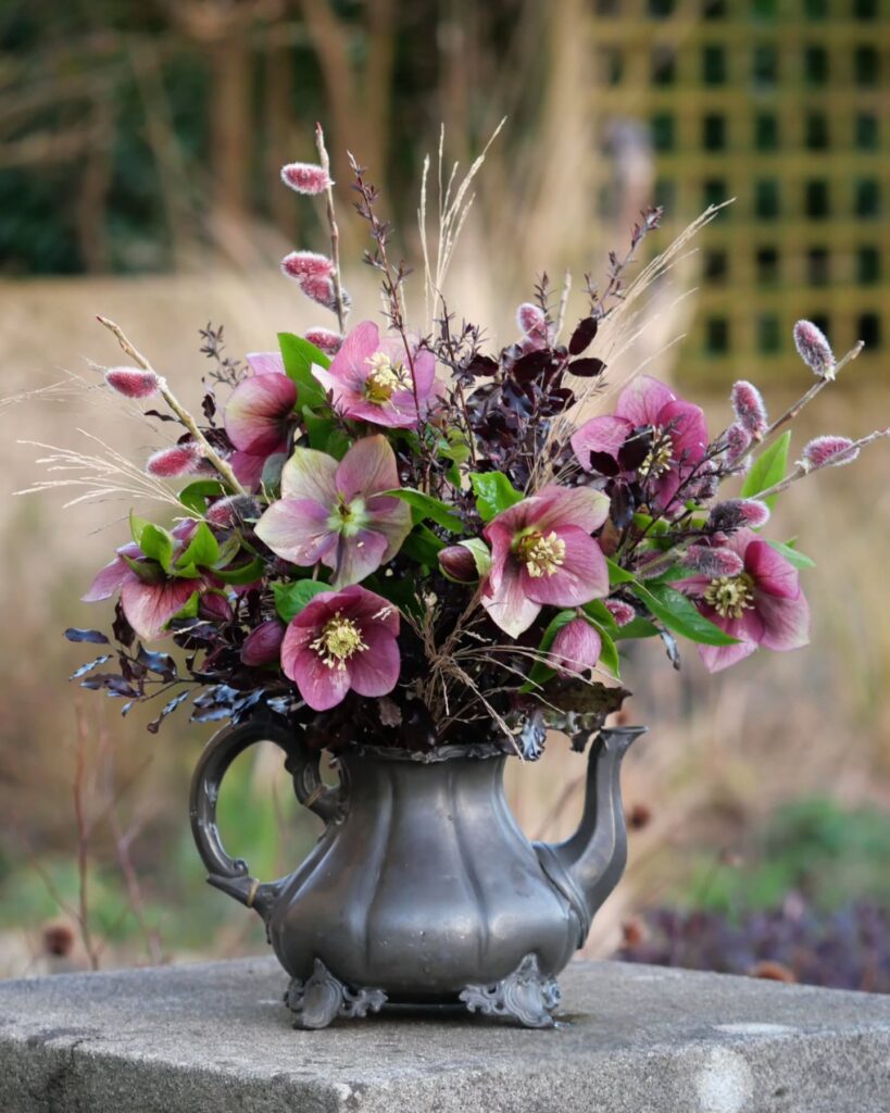 The Best Hellebore Companion Plants for a Beautiful Winter Garden ...