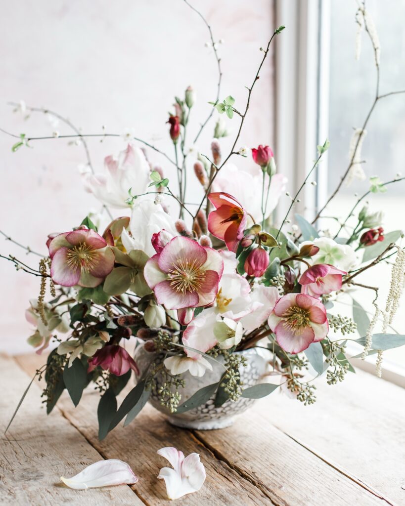 The Best Hellebore Companion Plants for a Beautiful Winter Garden ...